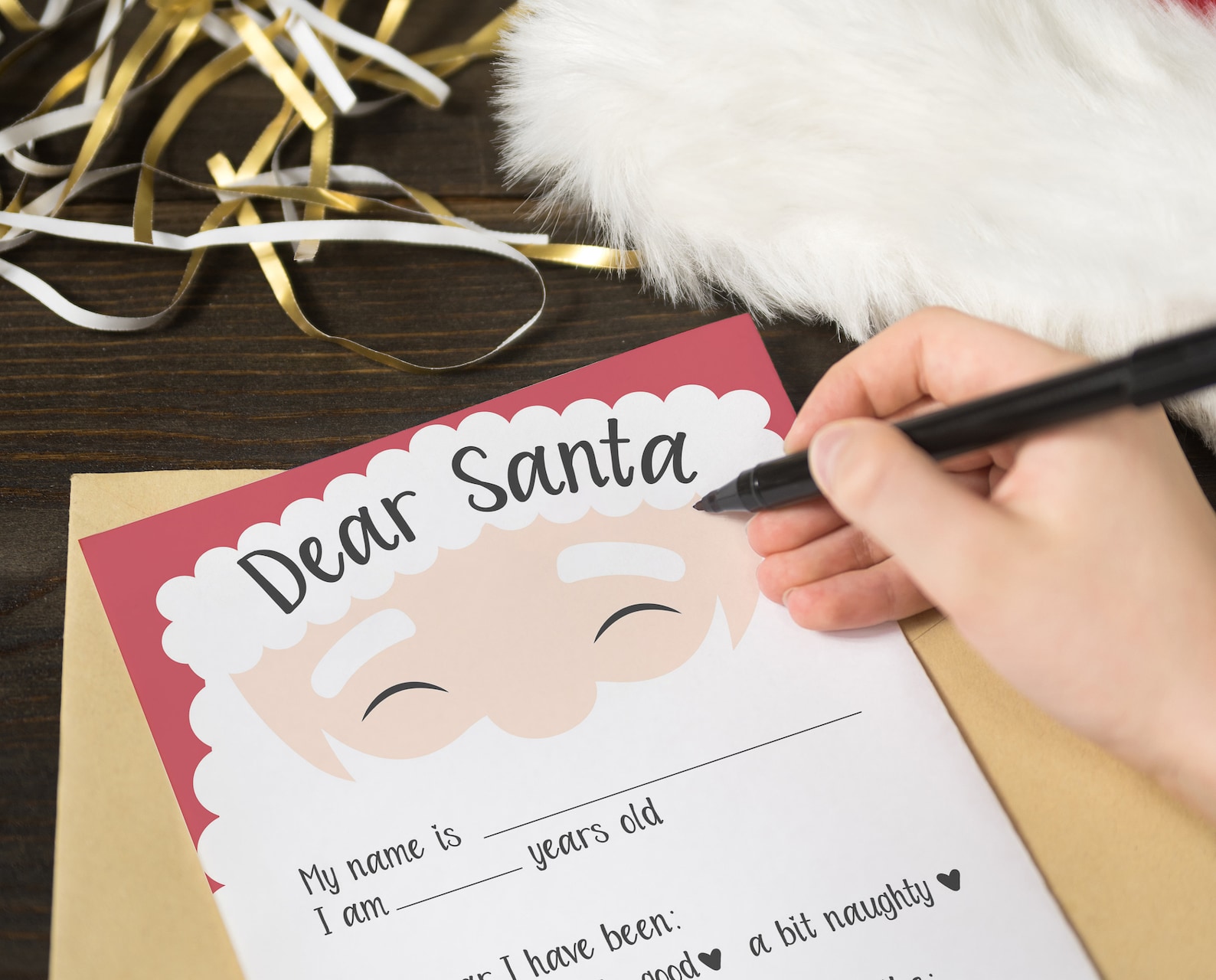 Letter to Santa Christmas Wish List Printable Santa Letter - Etsy