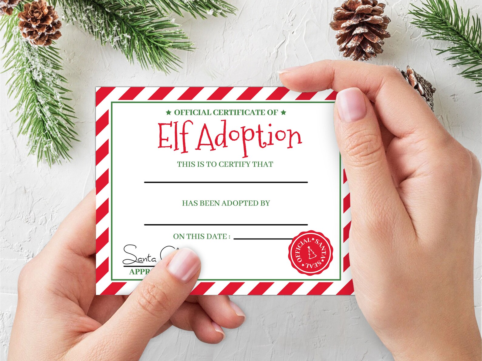 Santa Letter for Santa Cam and Elf Adoption Certificate Set - Etsy