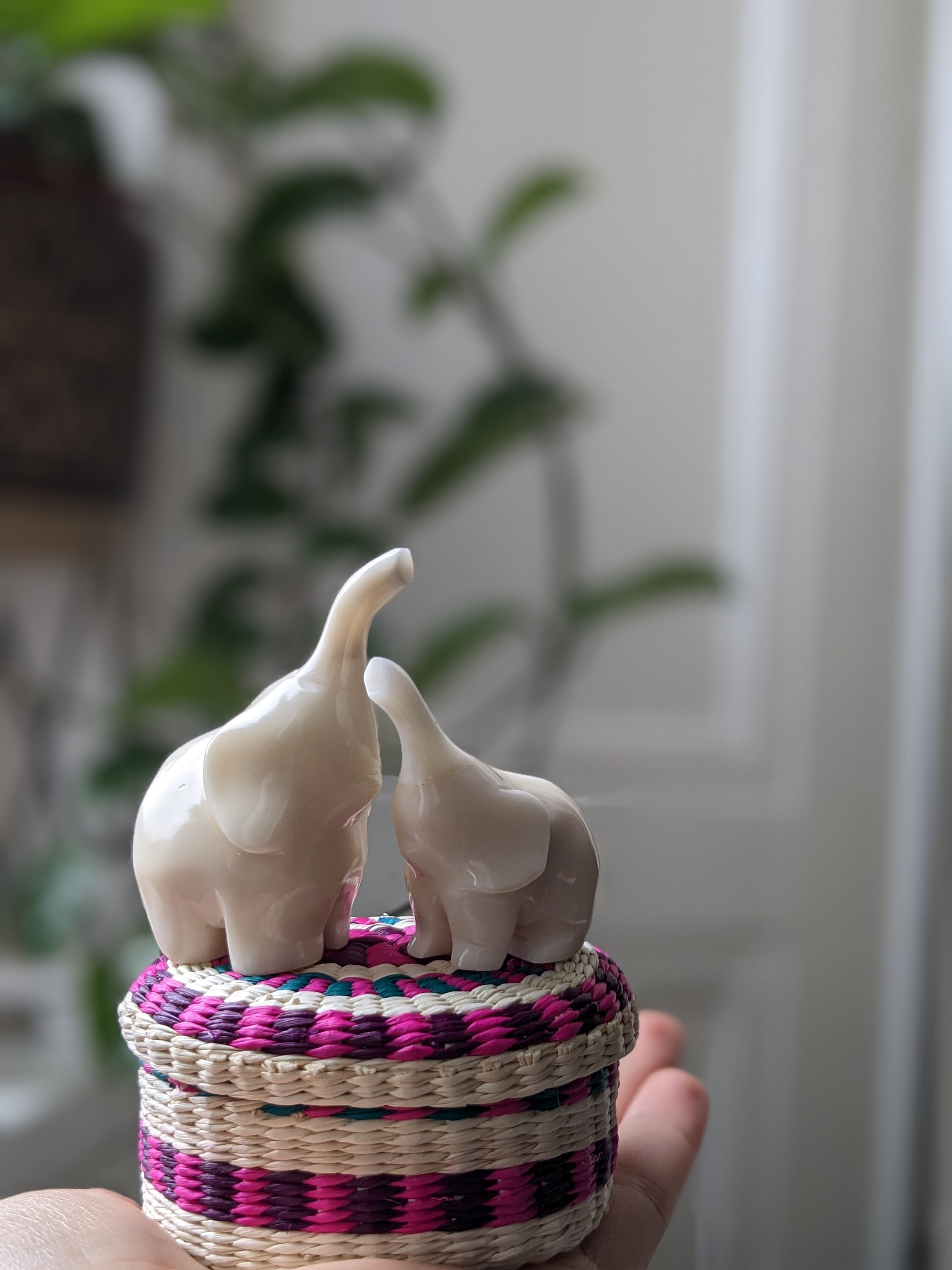 Vegetable Ivory Elephants - Etsy
