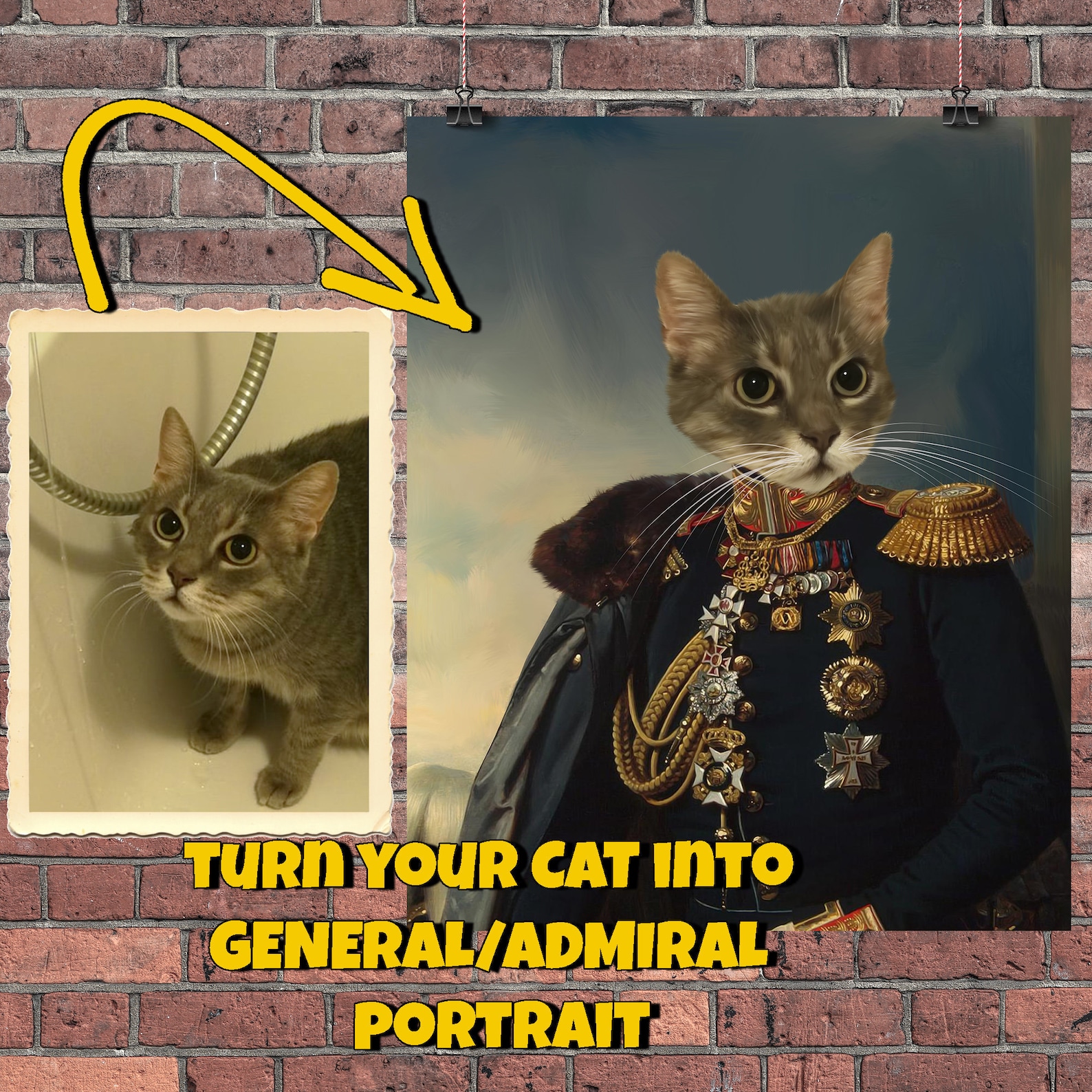 General Admiral Custom Cat Portrait Unique Royal Regal Cat - Etsy