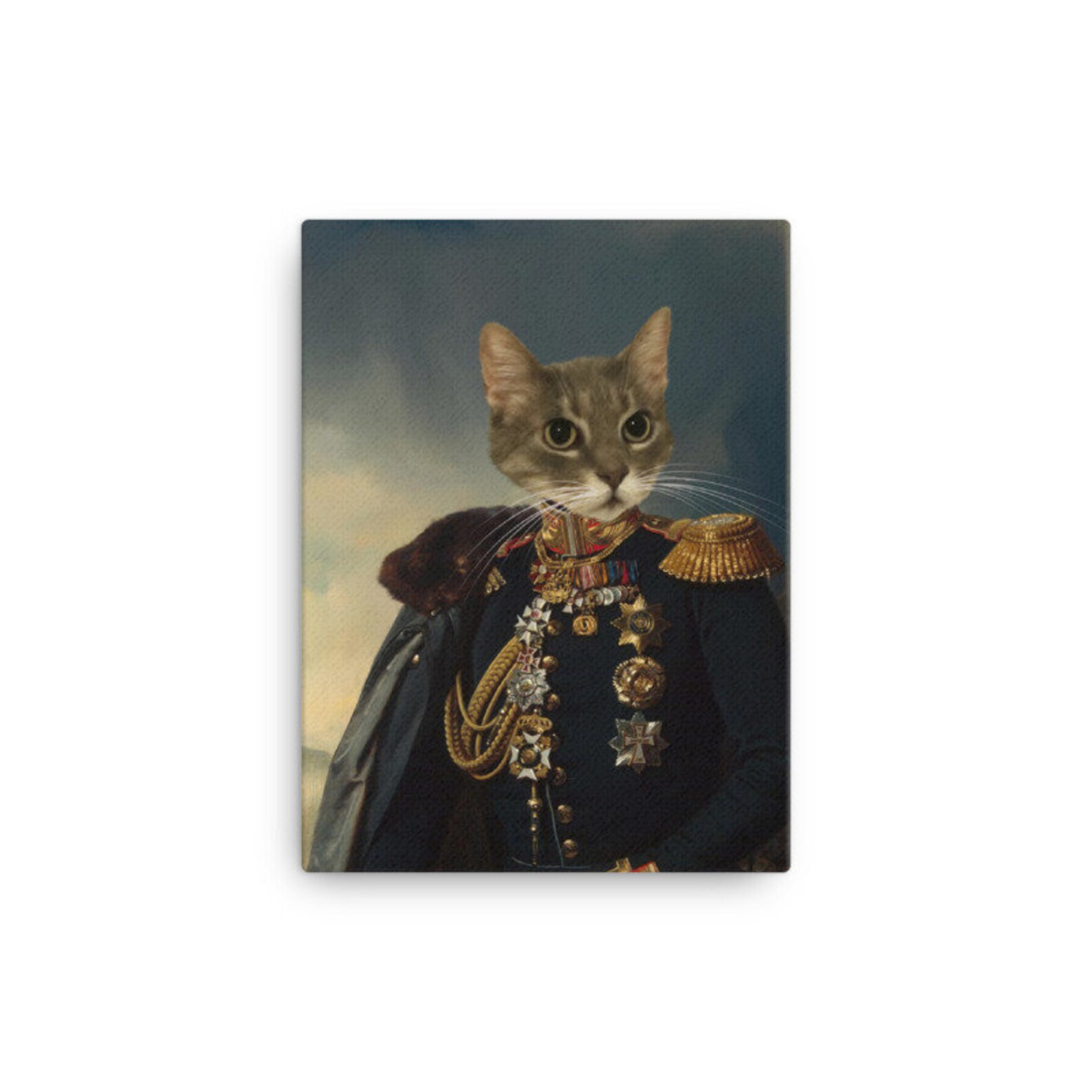 General Admiral Custom Cat Portrait Unique Royal Regal Cat - Etsy