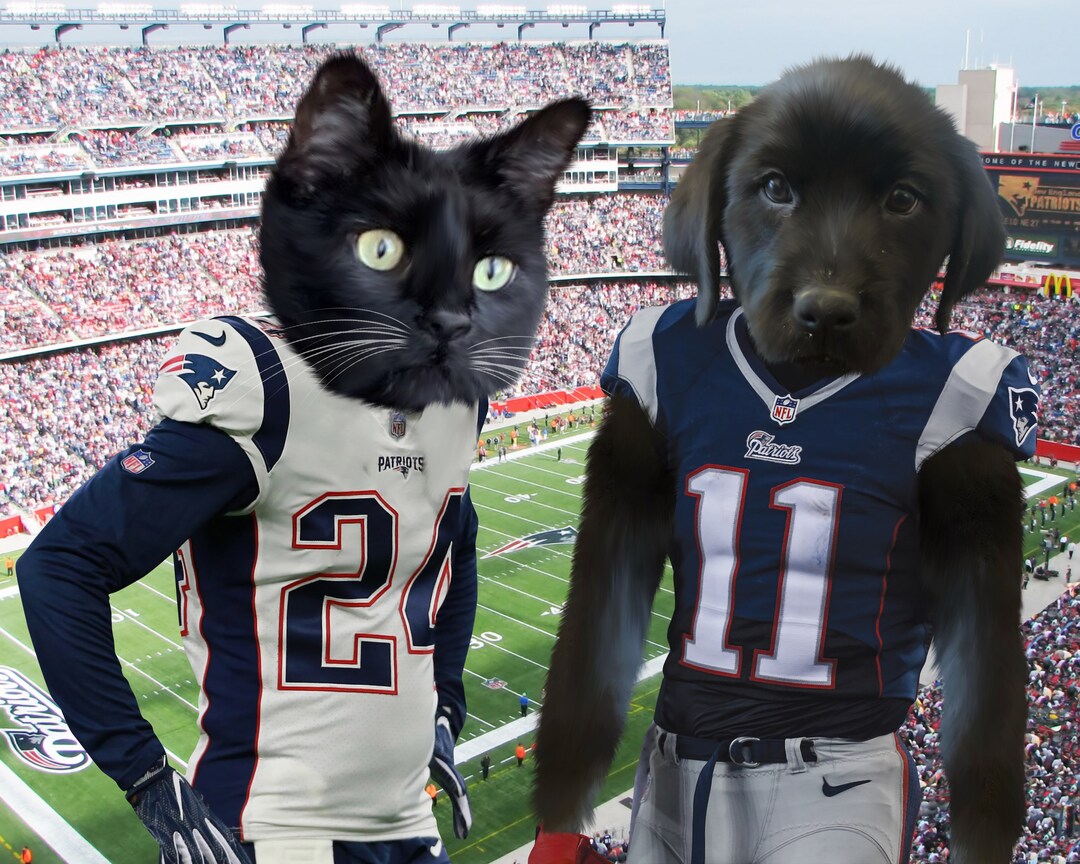 Custom Pet Portraits~funny Football Gifts~personalized Football Gifts ...