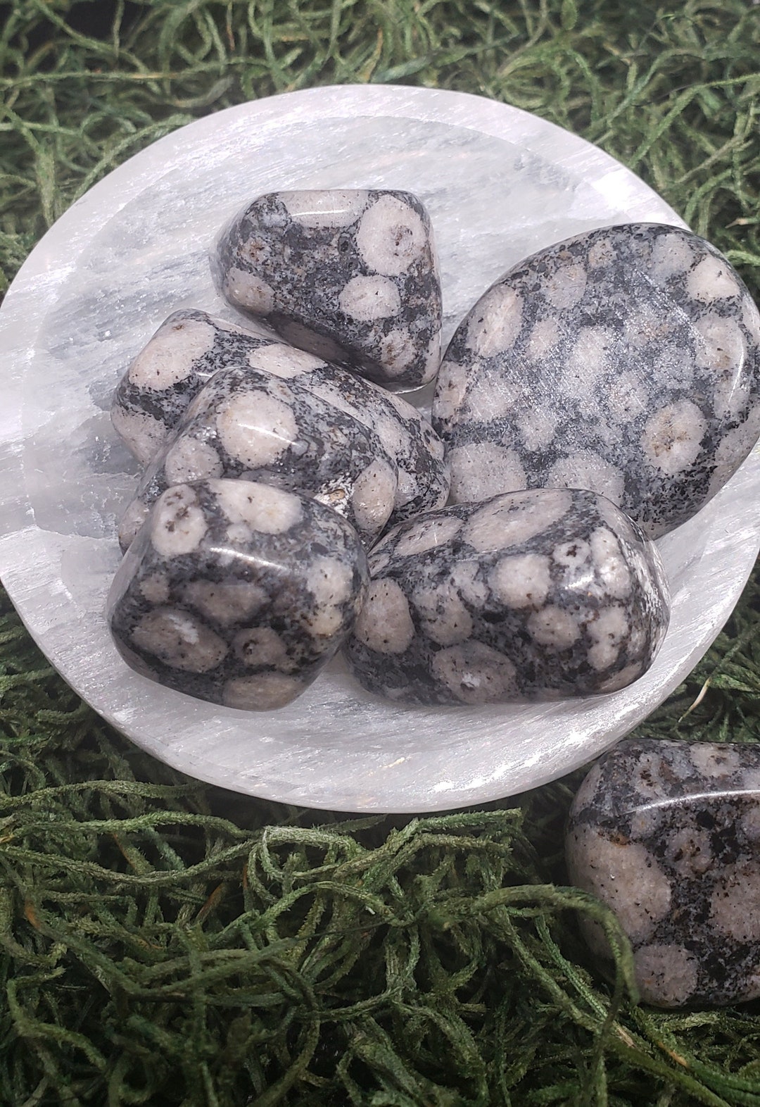Leucitite Tumbled Stone: Grounding Mineral From Turkey - Etsy
