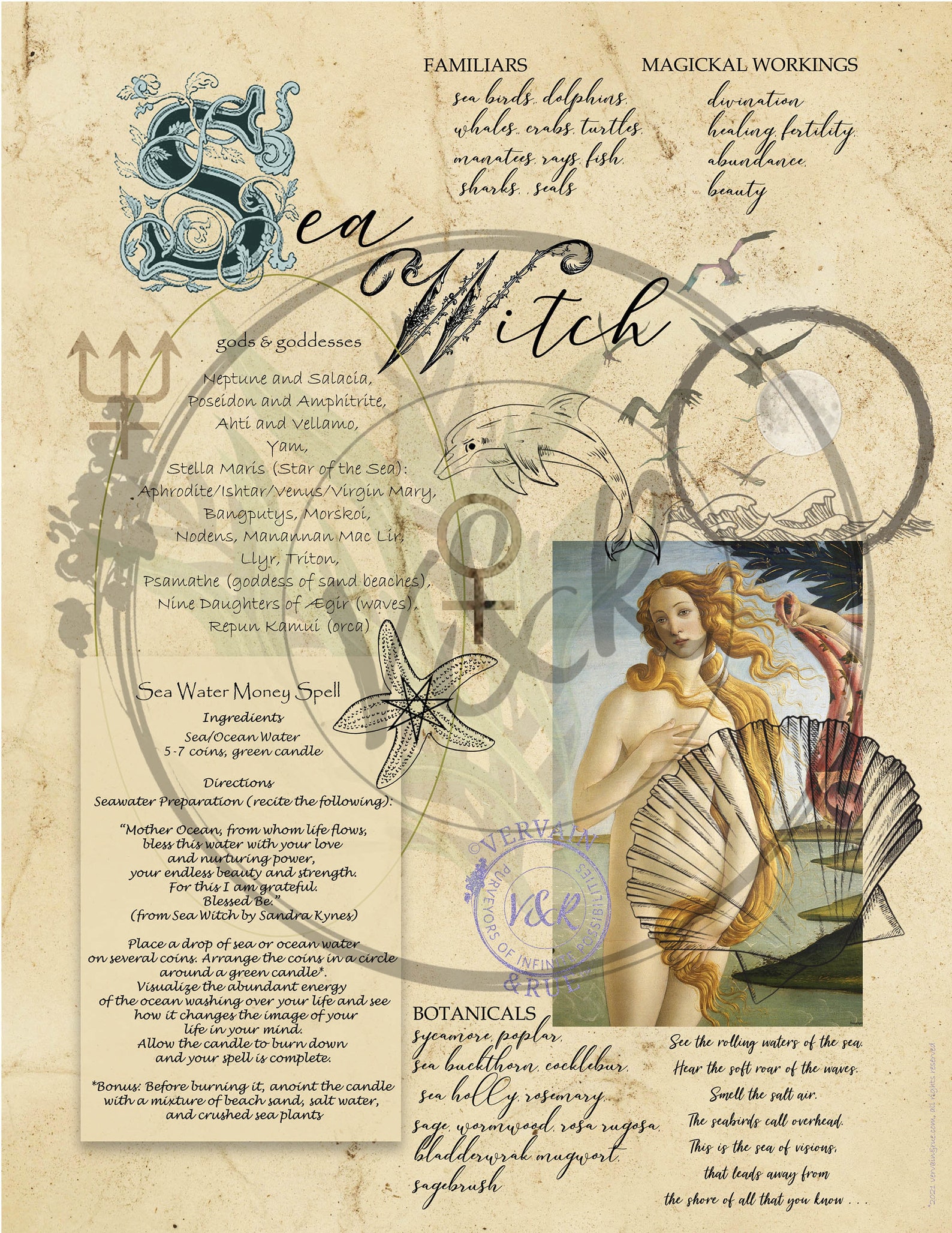 Sea Witch Printable Grimoire Page Digital Download Digital Book of ...