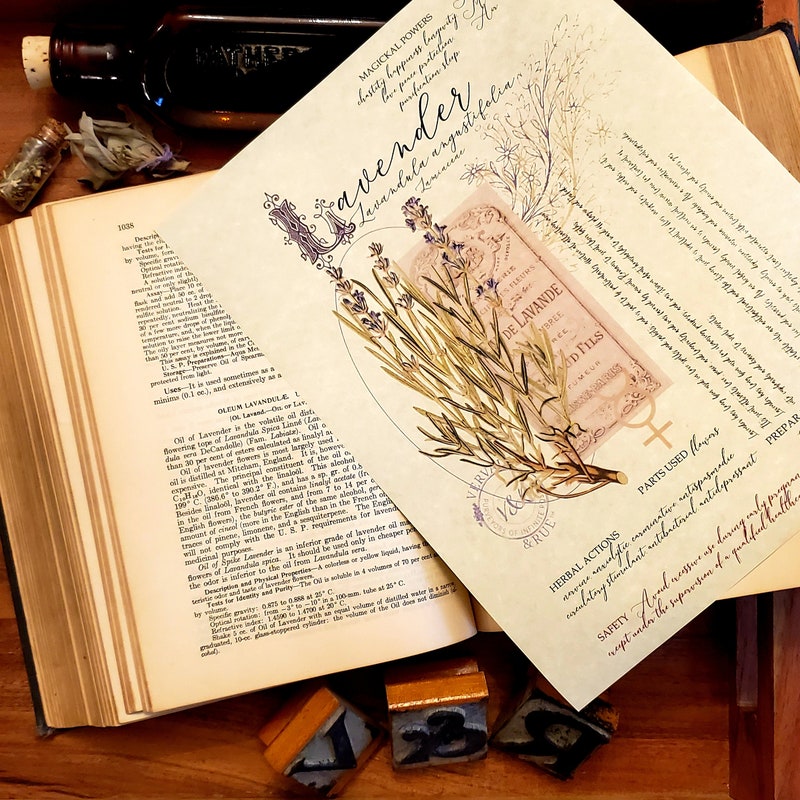 Grimoire Pages - Etsy