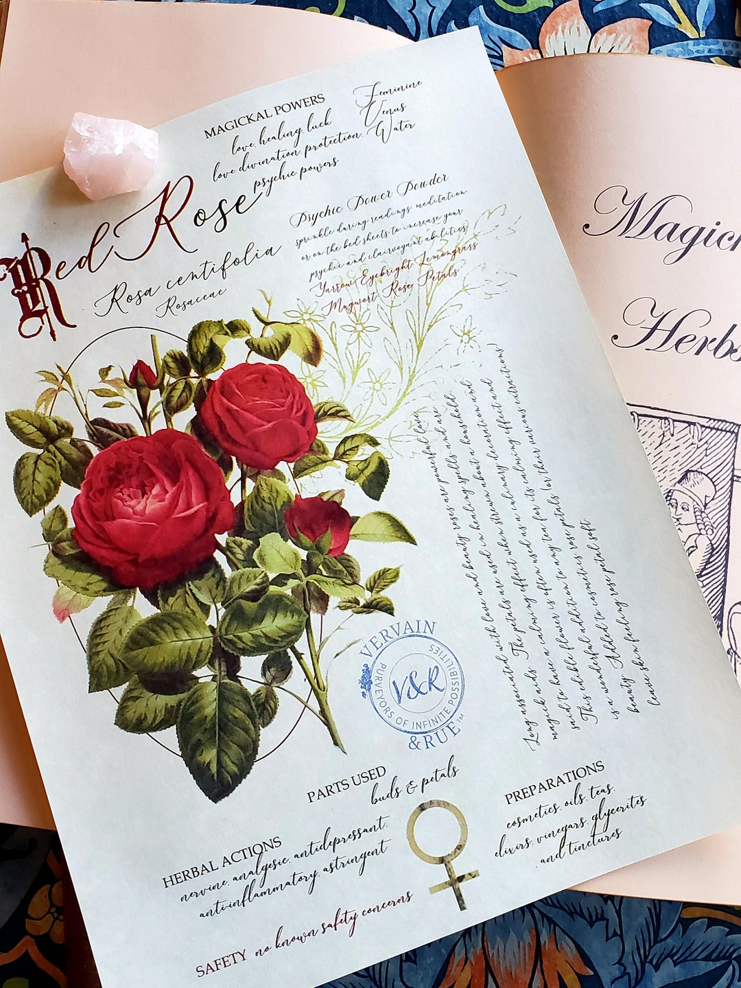 Red Rose Printable Grimoire Page - Etsy