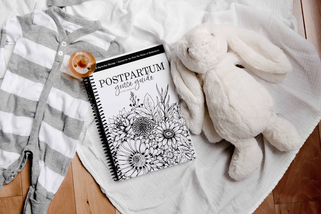 Postpartum Grace Guide: A Day-by-day Message and Inspirational Journal ...