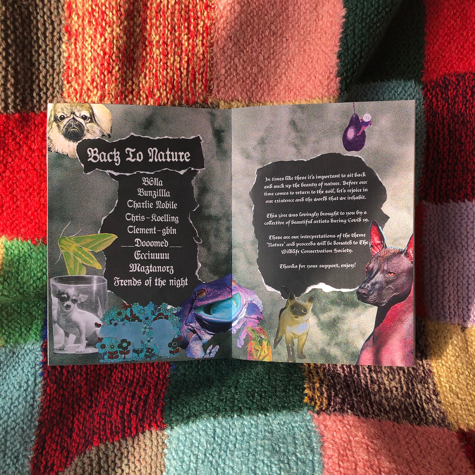 BACK TO NATURE Zine Collaboration - Etsy