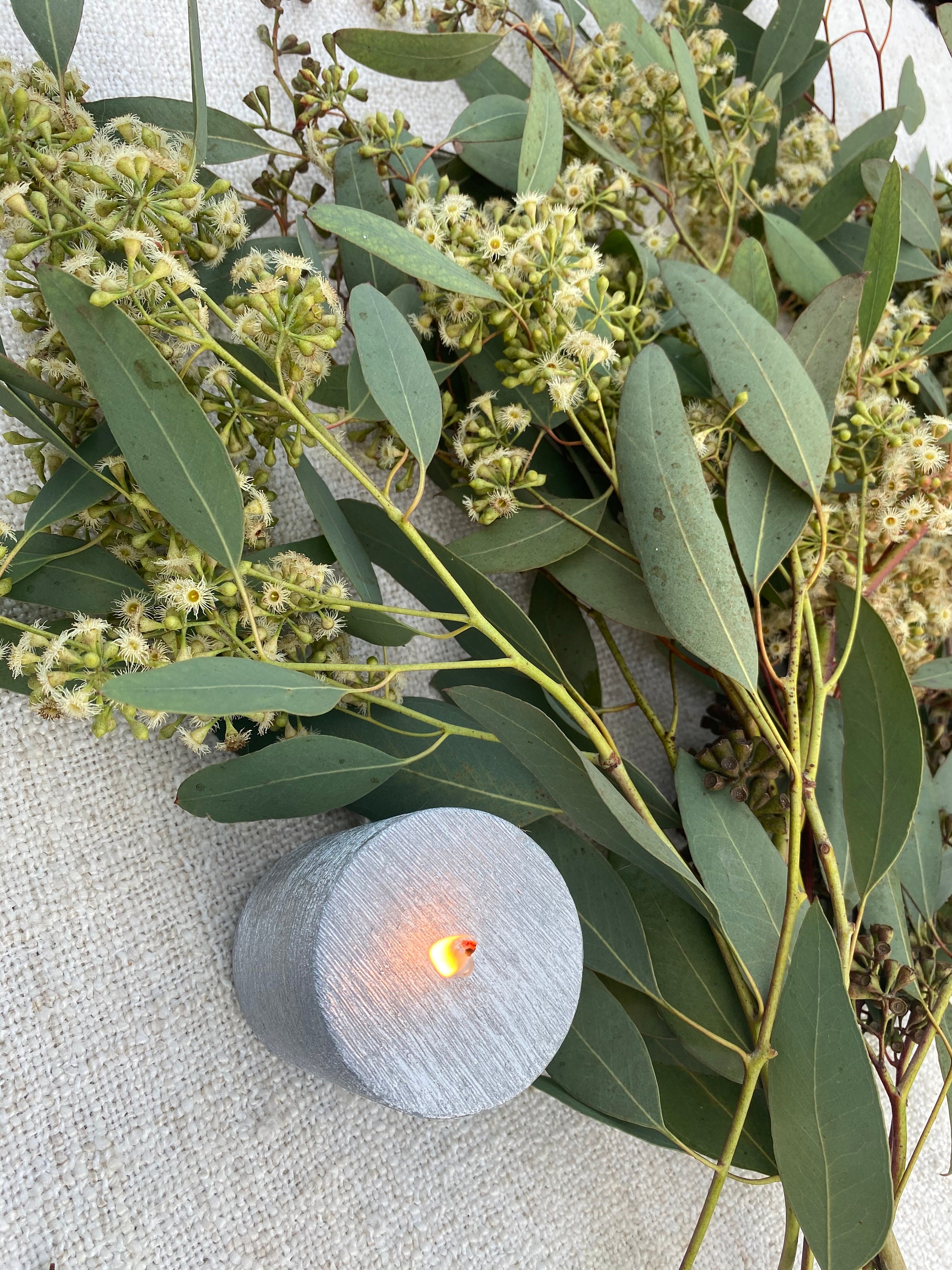 Seeded Eucalyptus Leaves