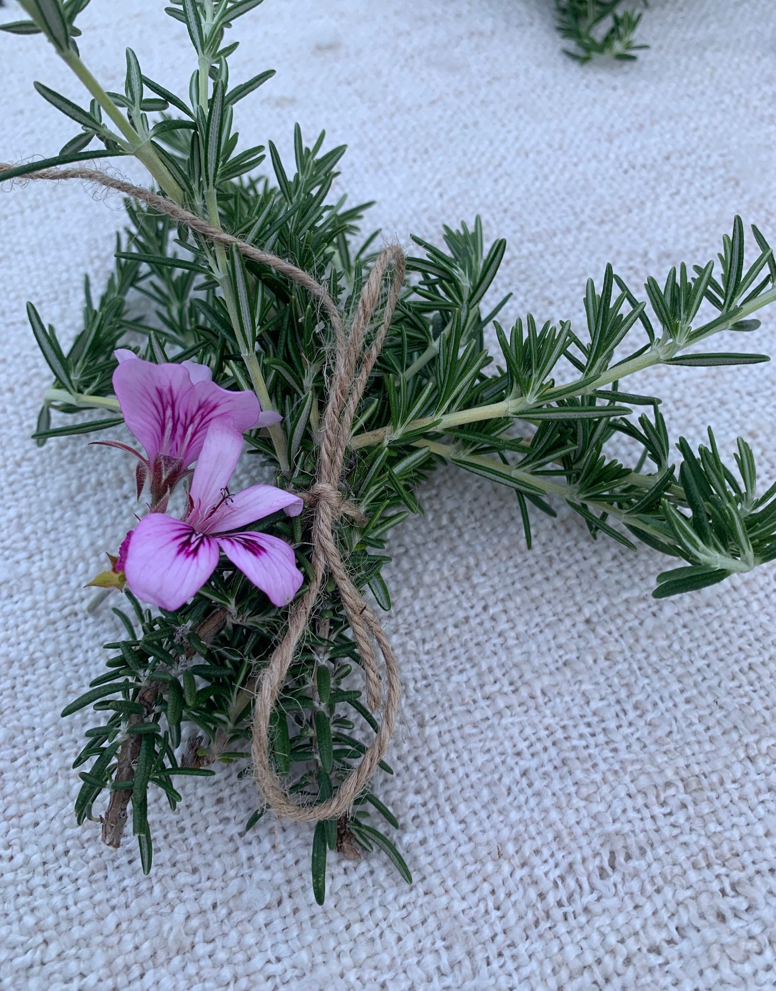 3 Rustic Rosemary Bundles 5 Stems Each. Freshly Cut Organic | Etsy