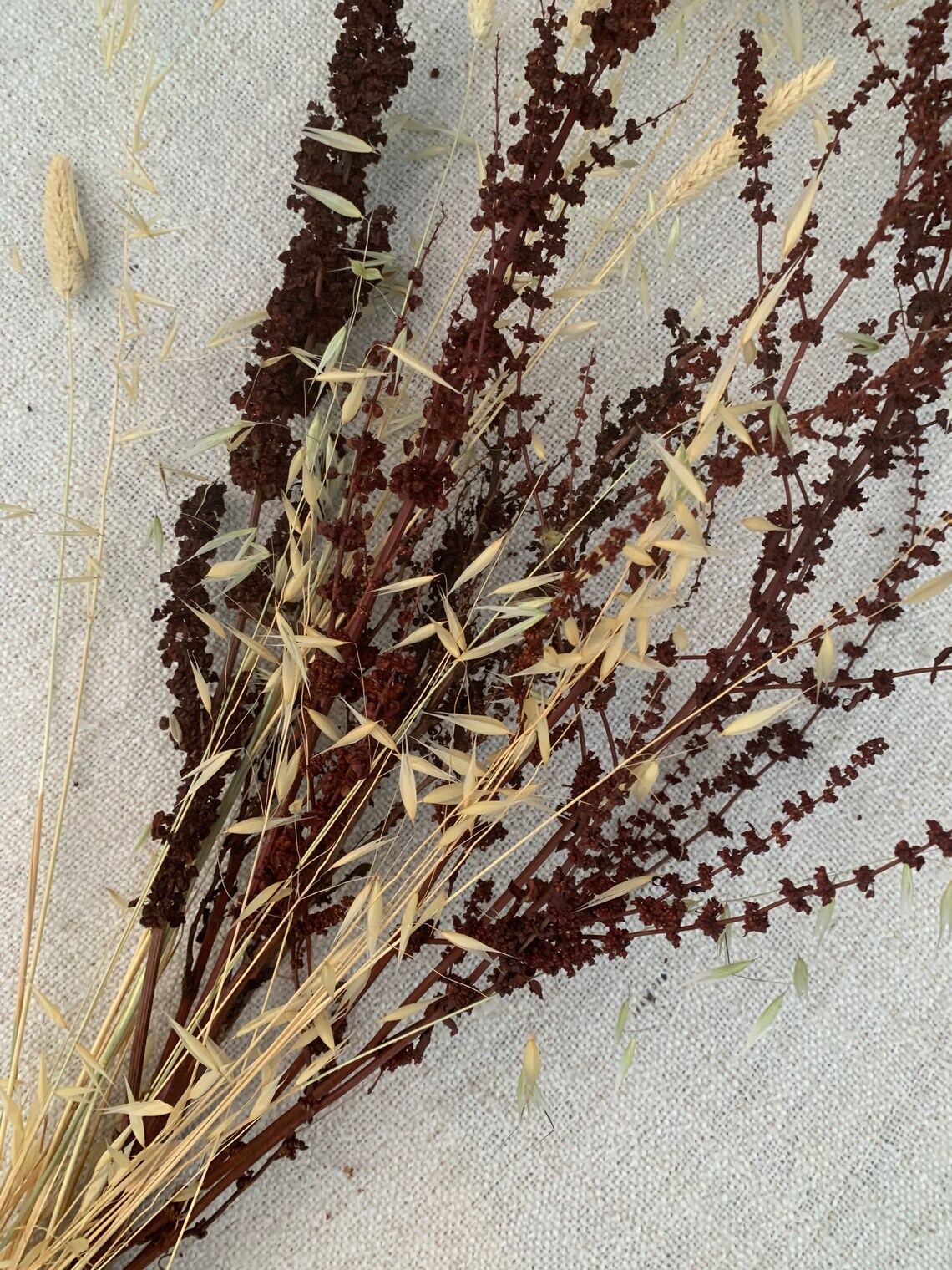 Dried Bouquet Accents Rumex Seed Pods Avena Grass and - Etsy