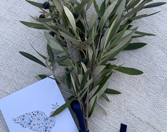 Peace Offering Gift - Etsy