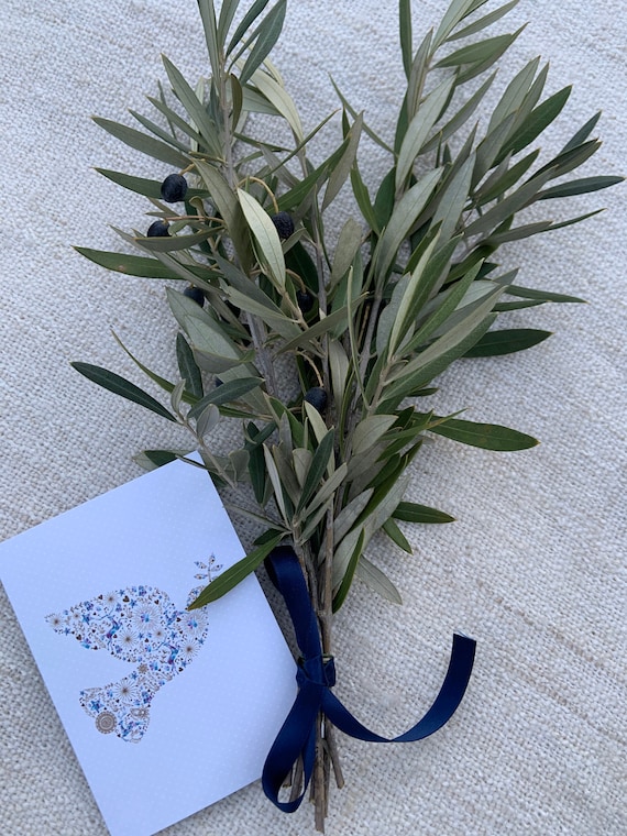 Peace Offering Olive Branches and a Card With the - Etsy