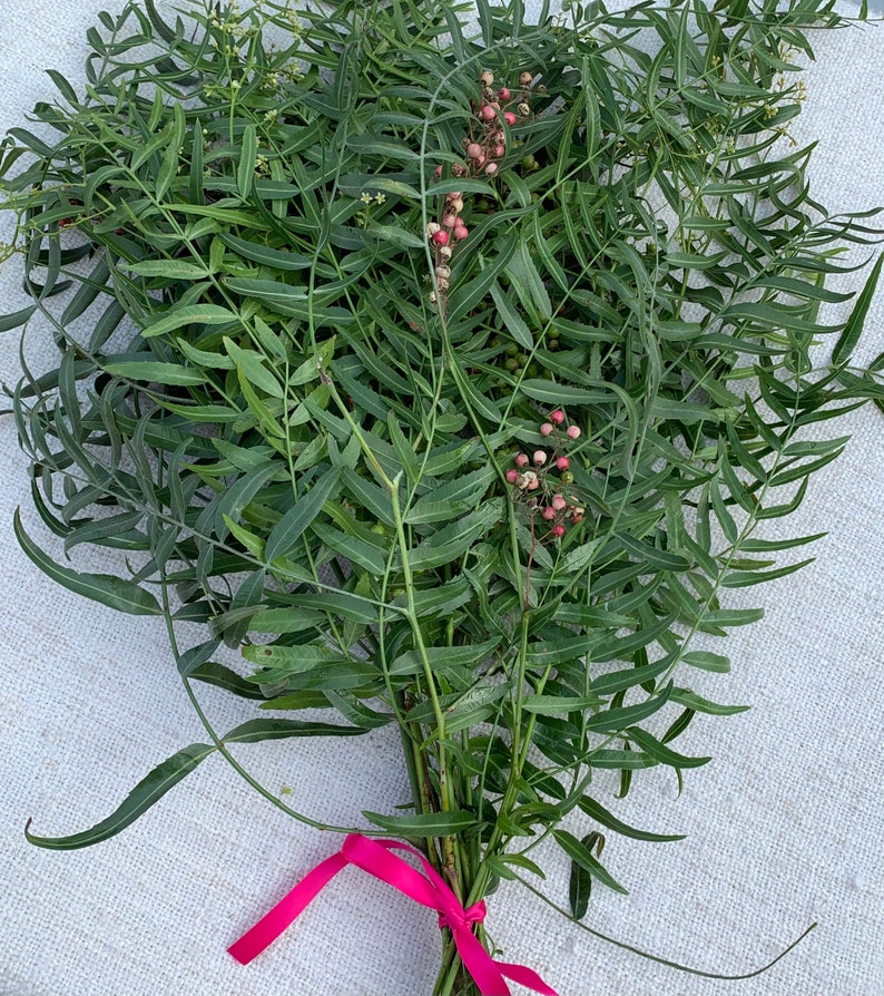 Fresh Cut Pepperberry Branches Big Bundle of Wonderful - Etsy