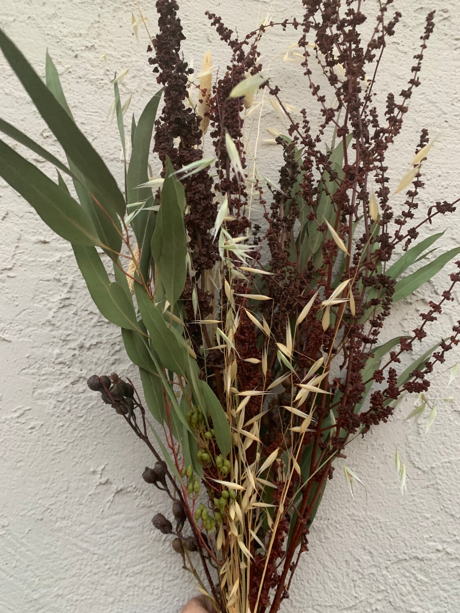 Dried Bouquet Accents Rumex Seed Pods Avena Grass and - Etsy