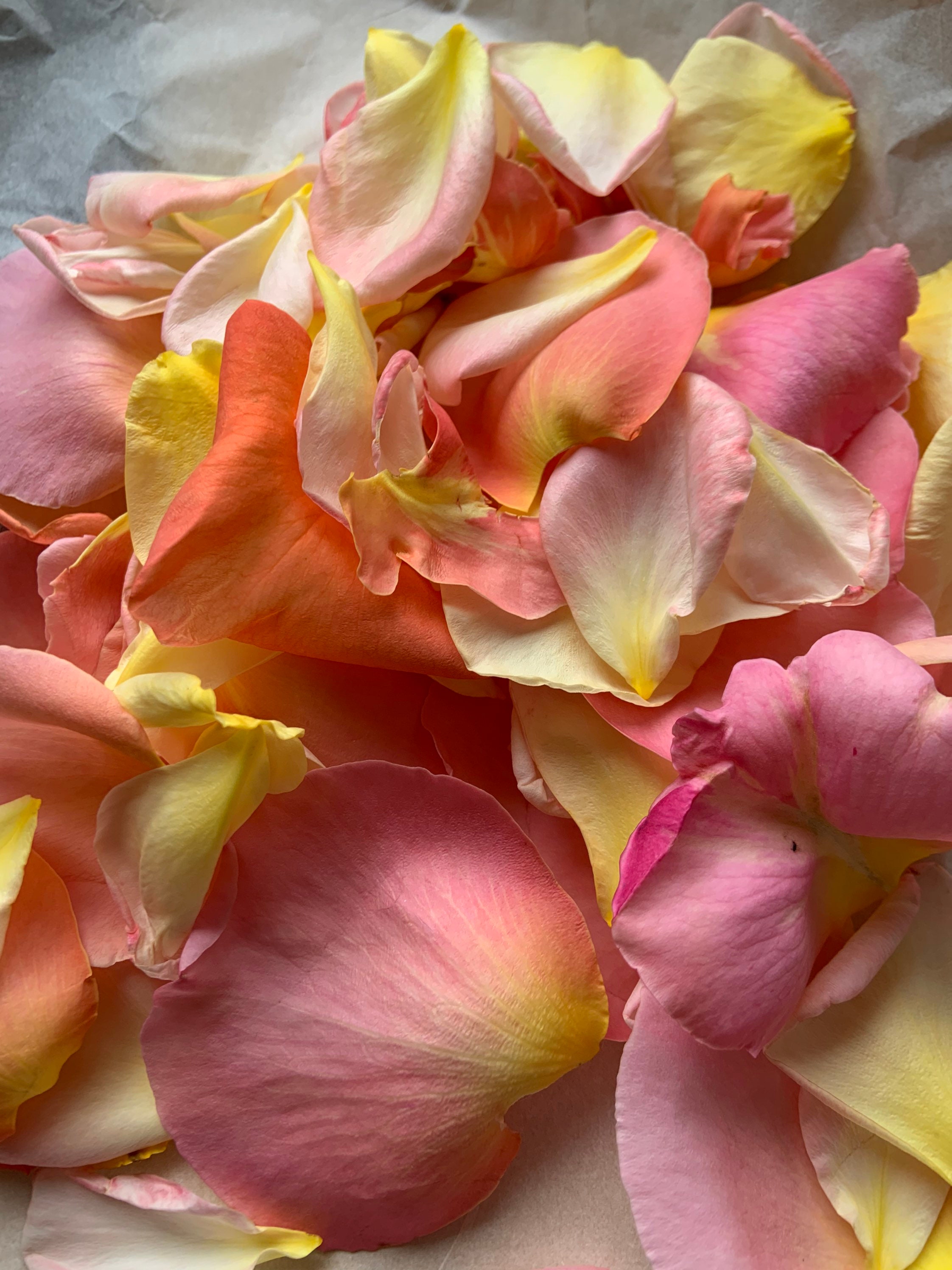 Fresh organic rose petals 1.5 ounce limited quantities and | Etsy