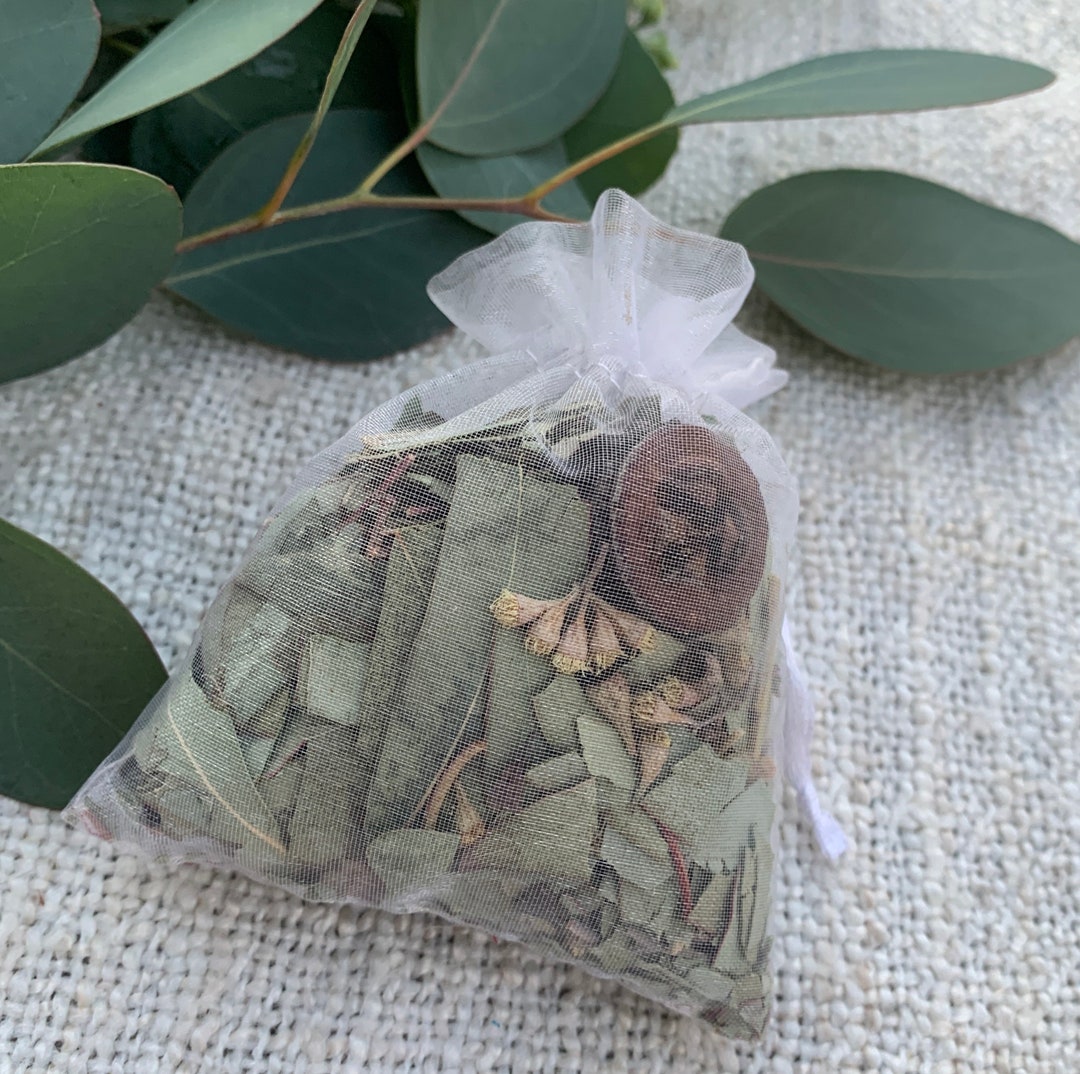 Aromatherapy Eucalyptus Sachet Leaves Pods and Bark in a - Etsy