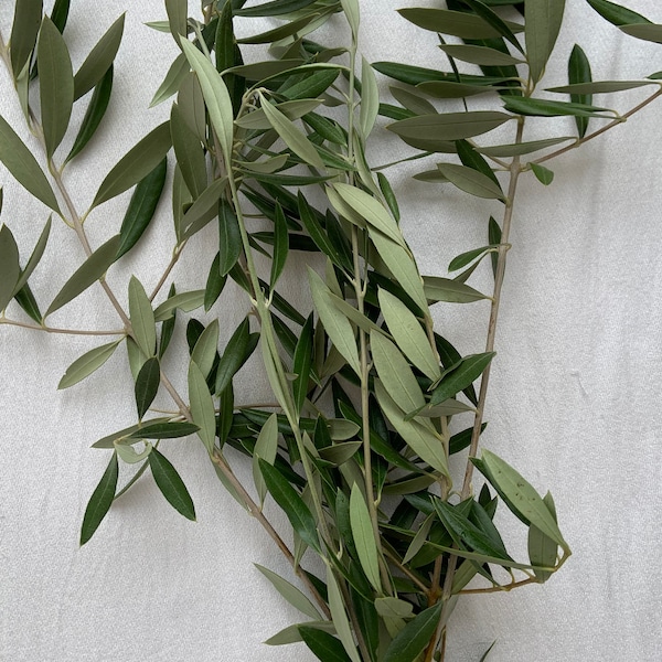 Olive Leaf Garland - Etsy