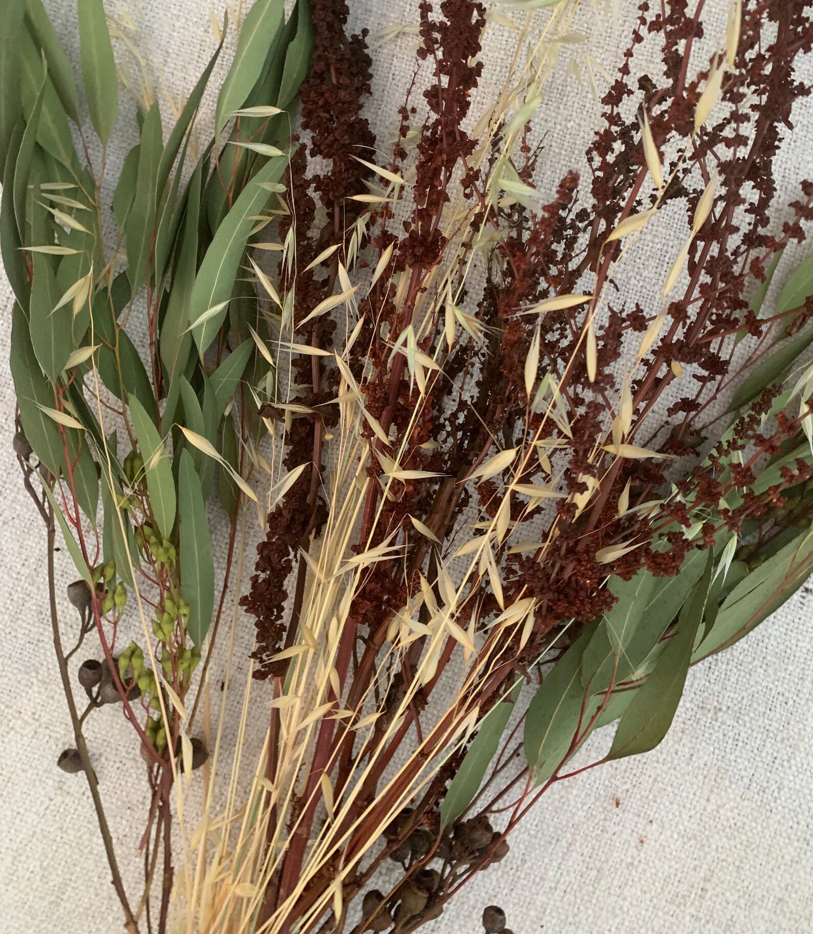 Dried Bouquet Accents Rumex Seed Pods Avena Grass and - Etsy