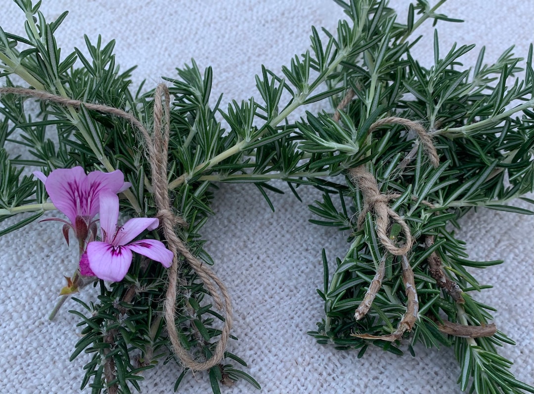 3 Rustic Rosemary Bundles, 5 Stems Each. Freshly Cut, Organic, Tied ...