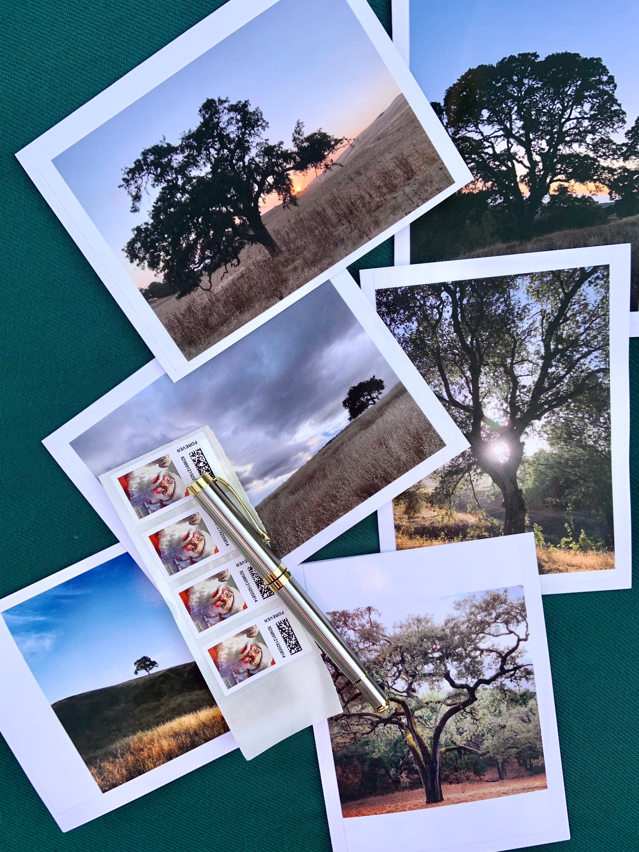 Oak Lovers Photo Card Gift Set. 6 Photo Cards With Envelopes - Etsy