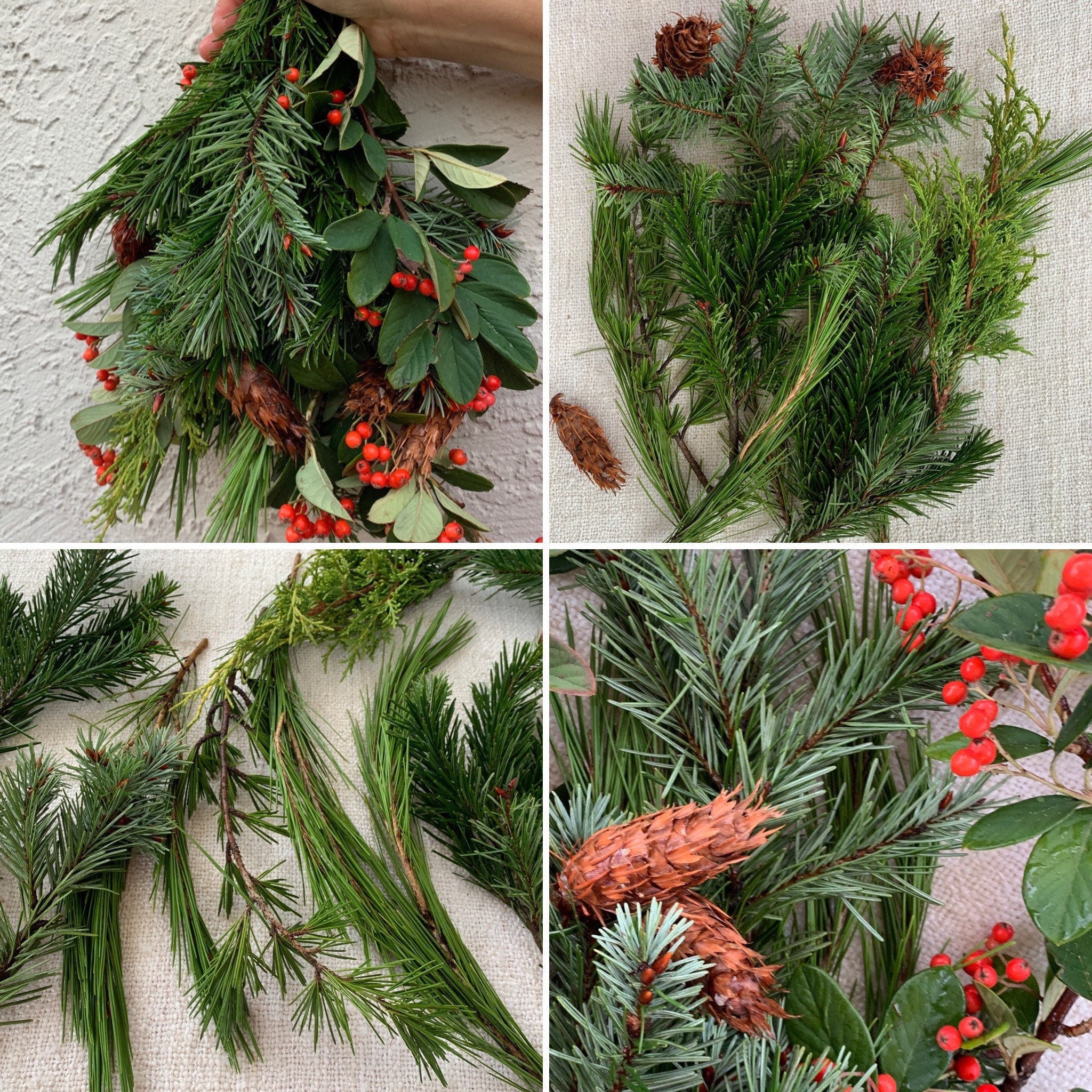 Craft Supplies & Tools Fresh Cut Western Red Cedar Bunch 24 inch ...