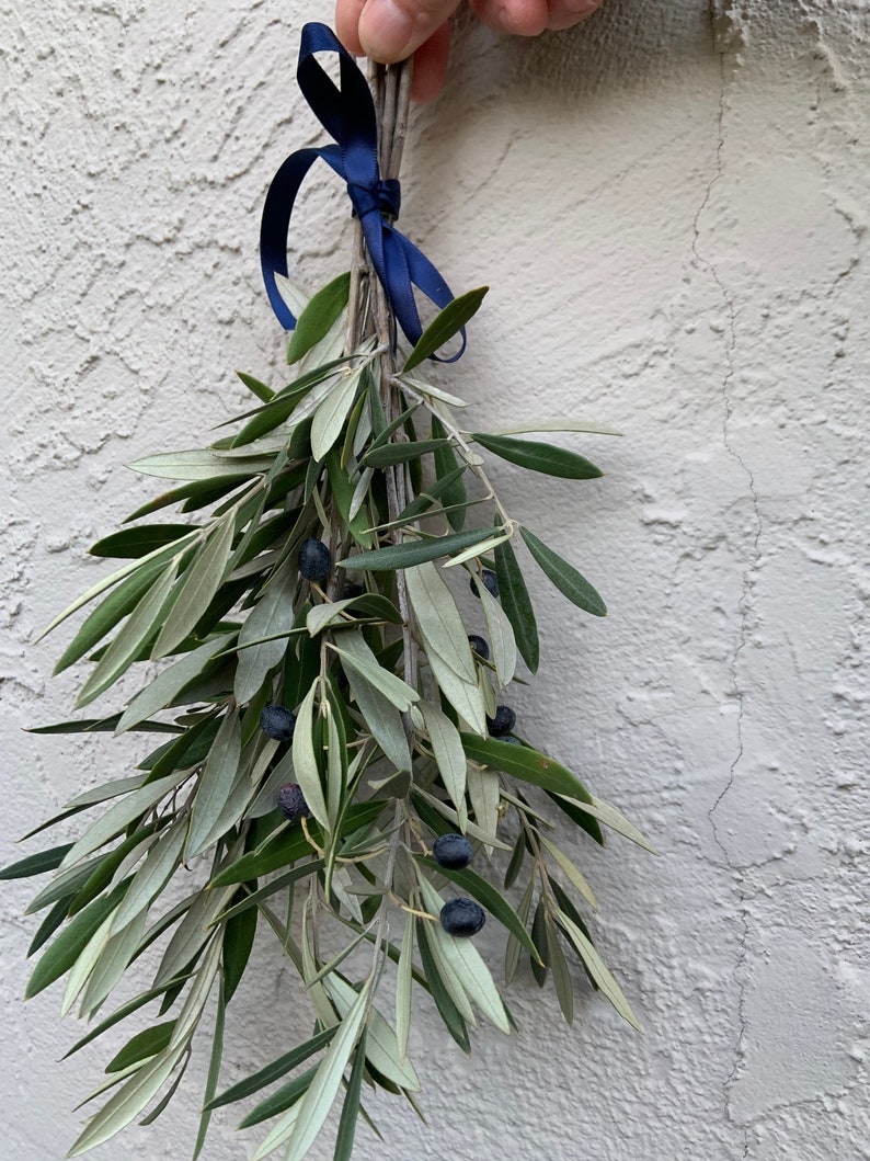Peace Offering - Olive Branches and a Card With the Inscription of Your ...