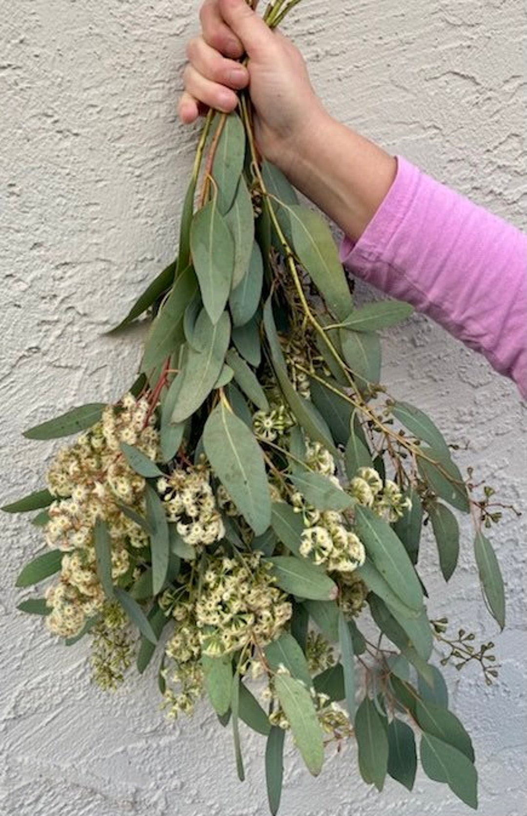 Seeded Eucalyptus Bouquet