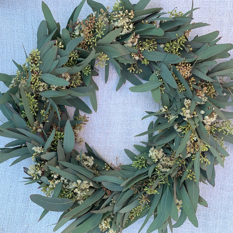 Fresh Eucalyptus Wreath - Etsy