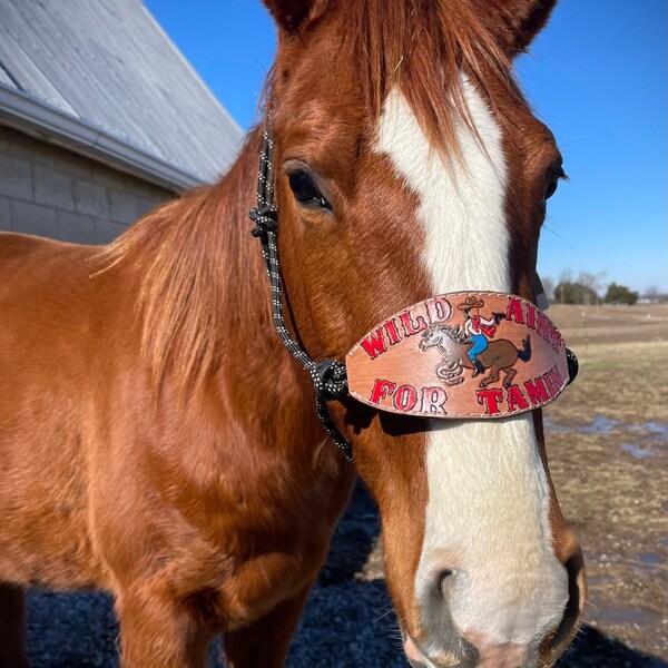 Bronc Halter - Etsy