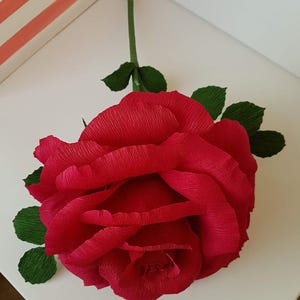 Large Paper Flower, Giant Flower, Giant Red Rose, Wife Red Rose ...