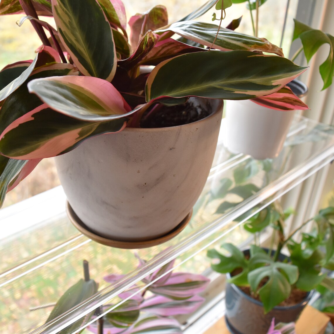 Clear Acrylic Window Plant Shelf Hanging Plant Shelf Indoor - Etsy Clear Acrylic Window Plant Shelf Hanging Plant Shelf Indoor - Etsy