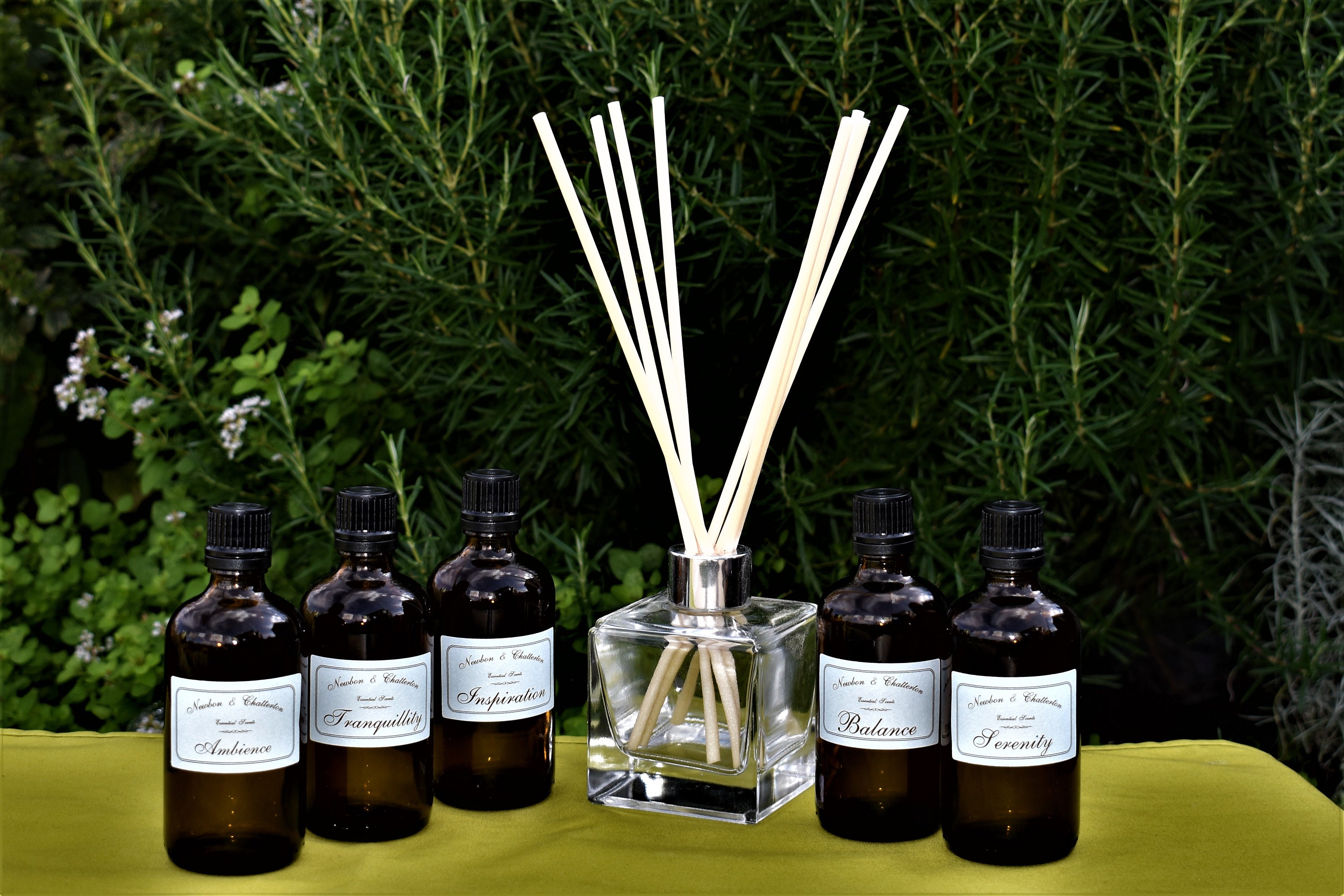 Tranquillity 100ml Reed Diffuser Refill Lime Basil & - Etsy UK