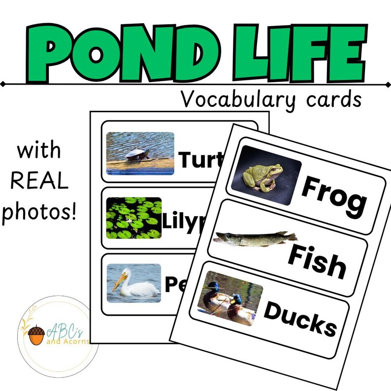 Pond Life Vocabulary Cards - Etsy