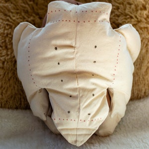 Pelvis Model Antenatal Teaching Aid Doula Hypnobirthing Cloth Pelvis ...