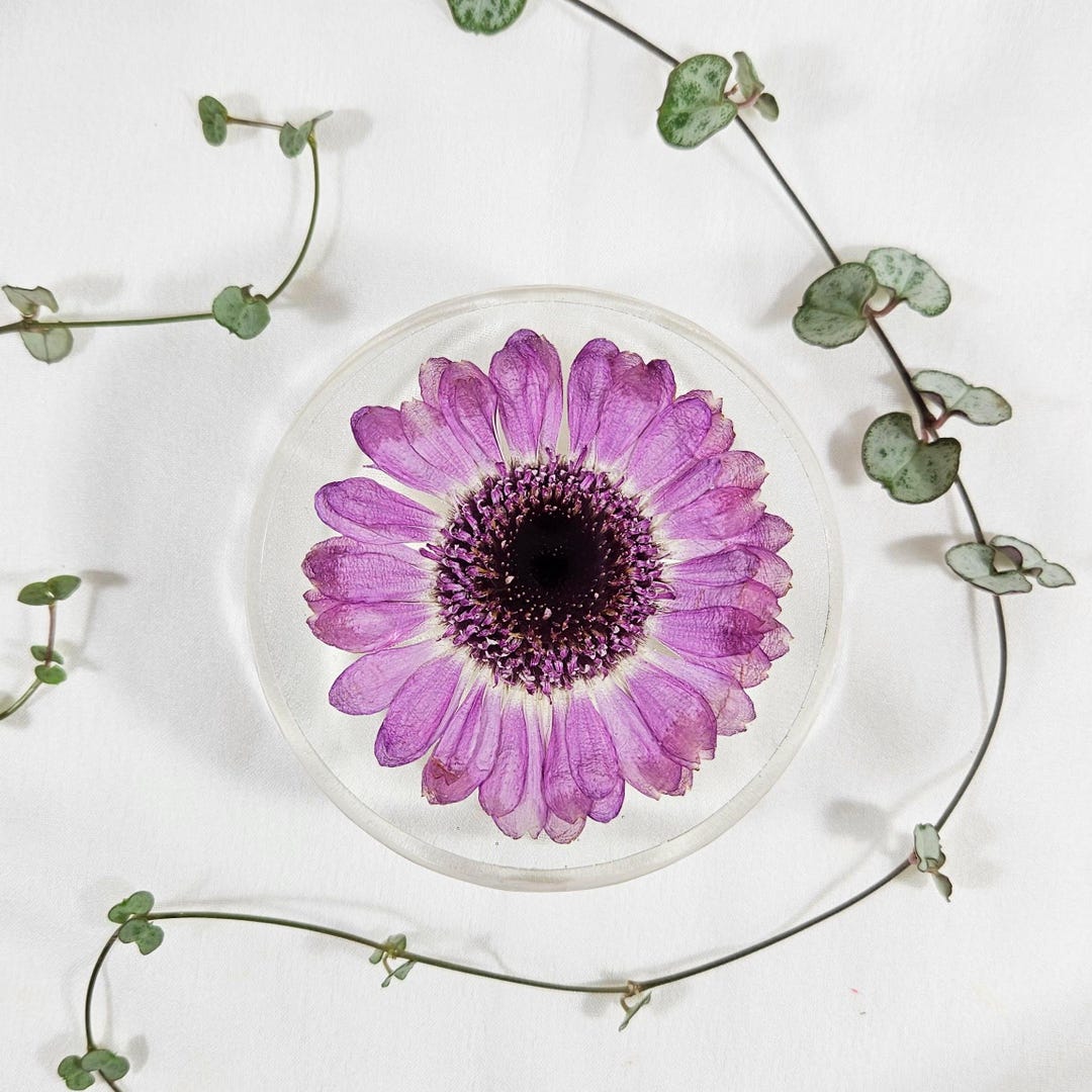 Lavender Pink Gerbera Daisy in Resin, Forever Natural Flower, Gift for ...