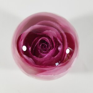 Soft Pink Rose Paperweight Real Floral Resin Ornament - Etsy