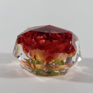 Carmine Red Rose in Resin, Forever Natural Flower, Gift for Parent ...