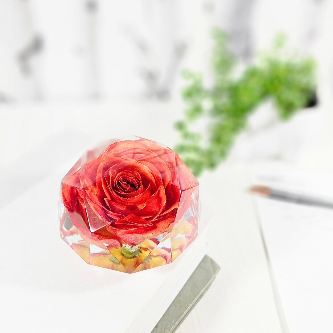 Amber Red Rose in Resin Geo Dome: Botanical Floral Paperweight - Etsy