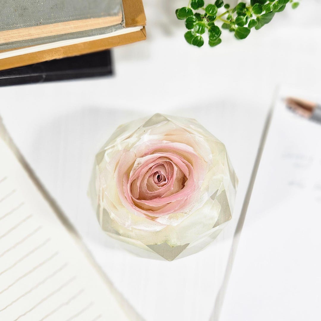 Blush Pink Rose in Resin Geo Dome: Botanical Floral Paperweight - Etsy