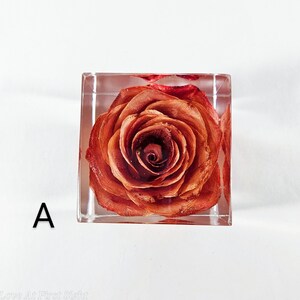 Orange Red Rose in Resin, Forever Natural Flower, Gift for Parent ...