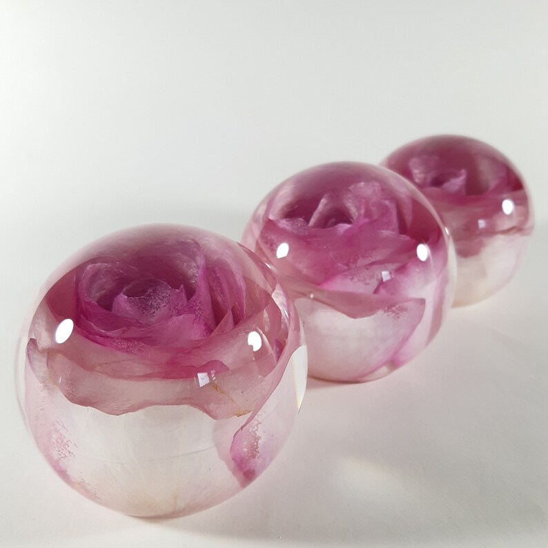Soft Pink Rose Paperweight Real Floral Resin Ornament - Etsy