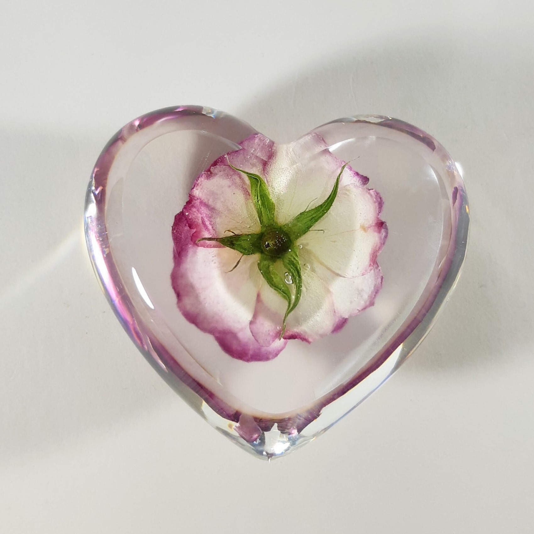Rose 'never Alone' Rose in Resin Real Flower Resin - Etsy