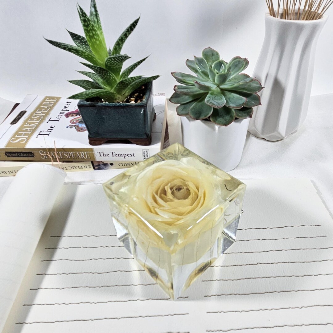 Ivory Rose in Resin Cube: Elegant Floral Keepsake Gift - Etsy