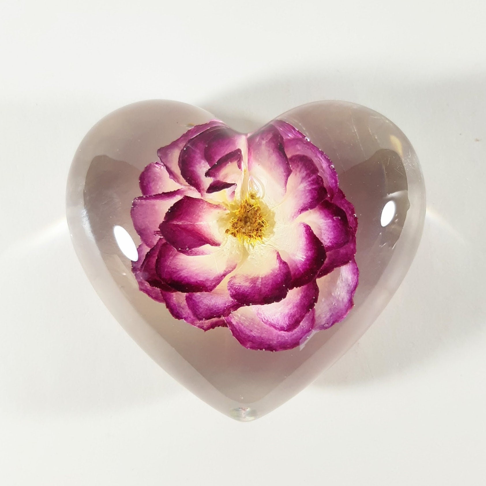 Rose 'never Alone' Rose in Resin Real Flower Resin - Etsy