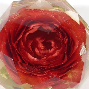 Carmine Red Rose in Resin, Forever Natural Flower, Gift for Parent ...