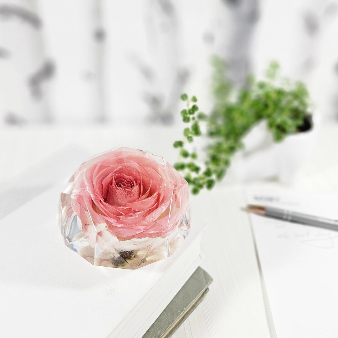 Coral Pink Rose in Resin Geo Dome: Real Floral Paperweight - Etsy