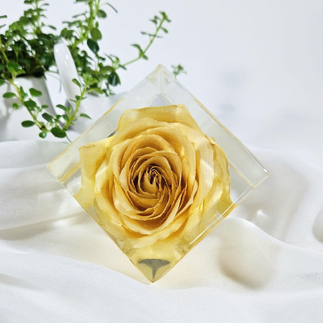 Yellow Rose in Resin Corner Stand Cube: Elegant Floral Keepsake Gift - Etsy
