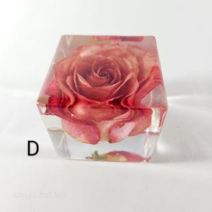 Orange Red Rose in Resin, Forever Natural Flower, Gift for Parent ...