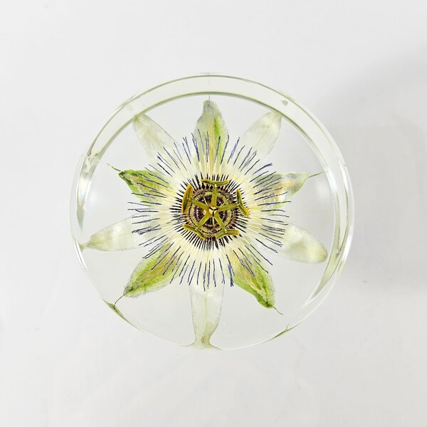Flower Paperweight - Etsy